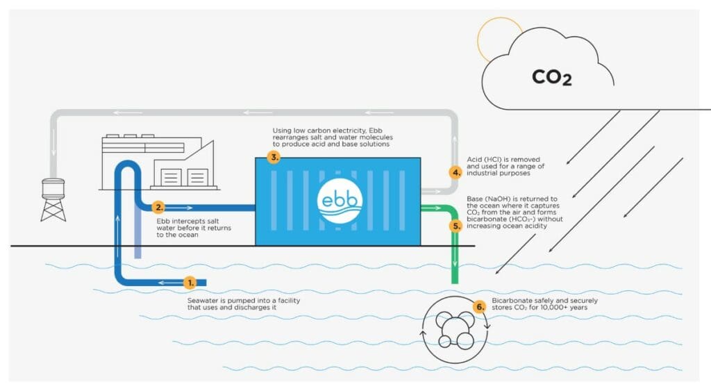 Ocean Visions | Team: Ebb Carbon