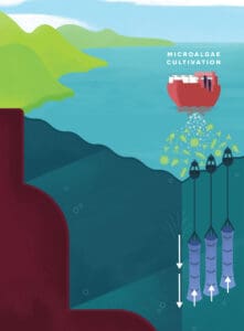 Ocean Visions | Microalgae Cultivation
