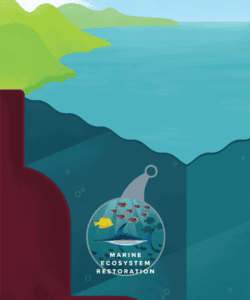 Ocean Visions | Marine Ecosystem Restoration