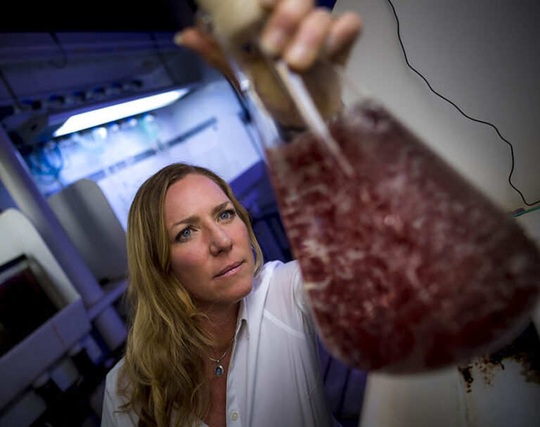 Ocean Visions | Launchpad