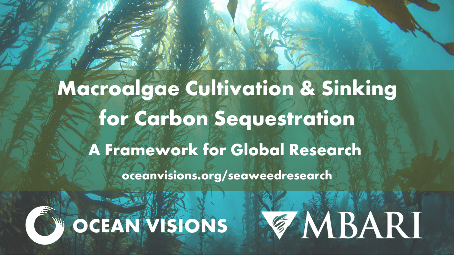Road Map To Advance Randd For Microalgae Based Carbon Sequestration
