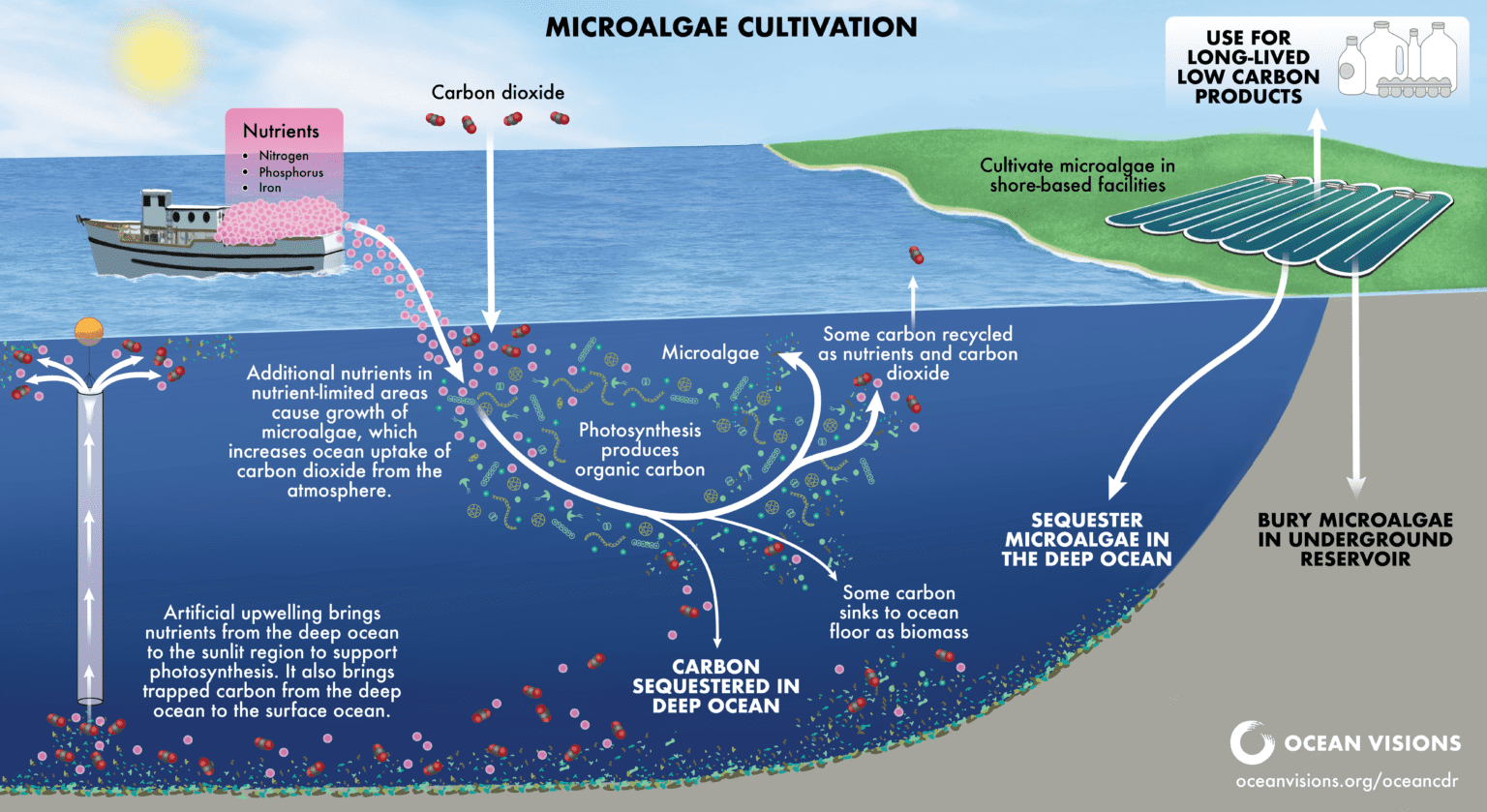 Ocean Visions | Microalgae Cultivation