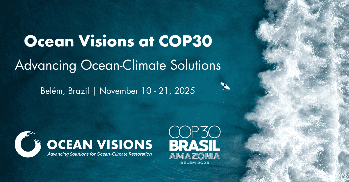 COP30: Advancing Ocean-Climate Solutions on the Global Stage | Ocean ...