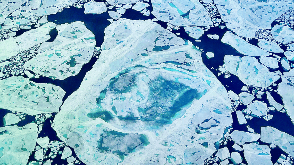 Ocean Visions Awards New Funding for Research on Novel Approaches to ...