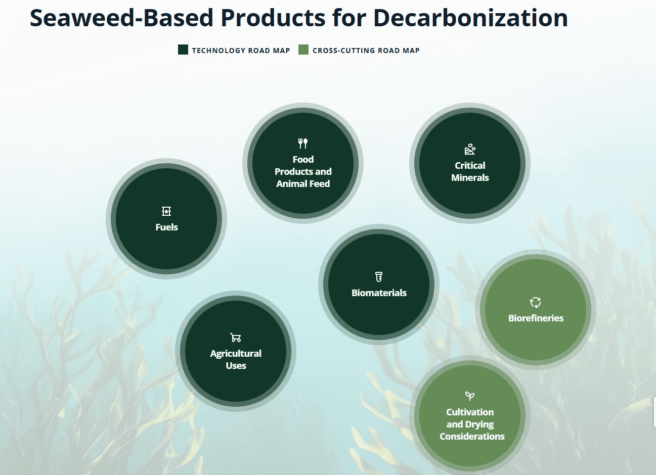 Ocean Visions Launches Tool to Advance Seaweed as Climate Solution ...